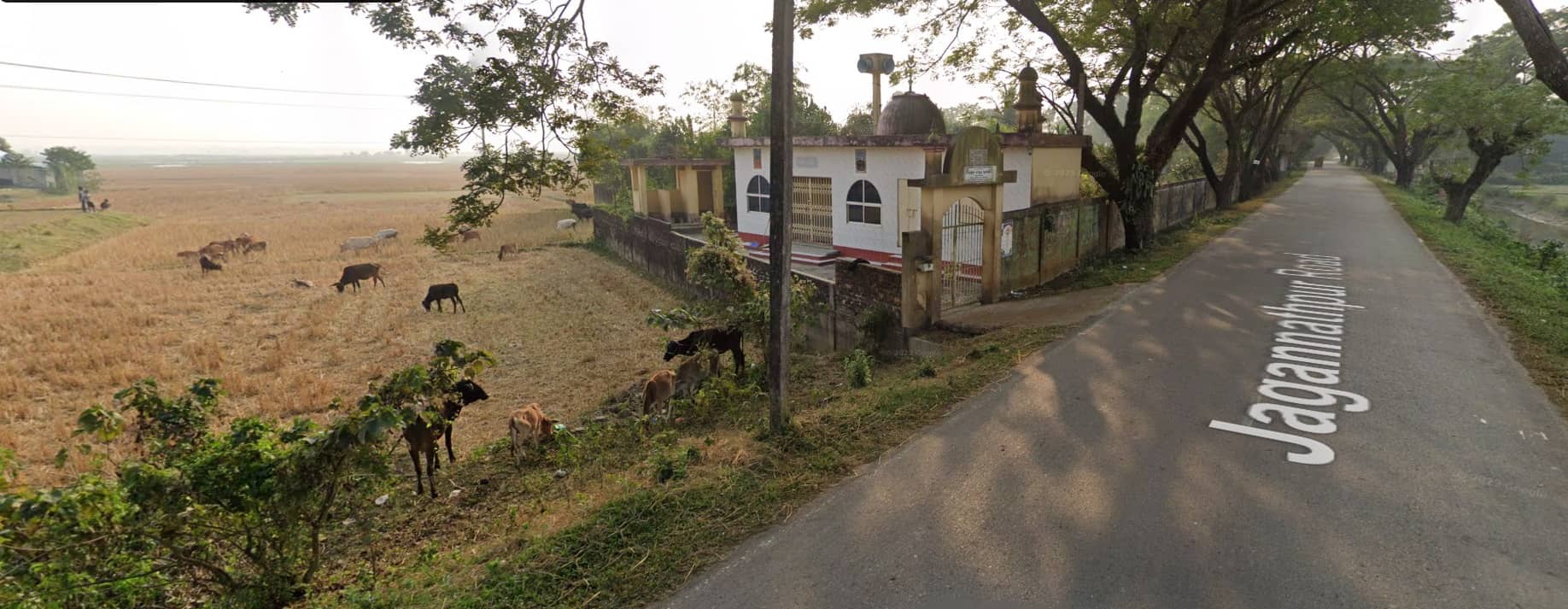 Baitul Mamur Masjid – Boro Kafun – Dakhin Para